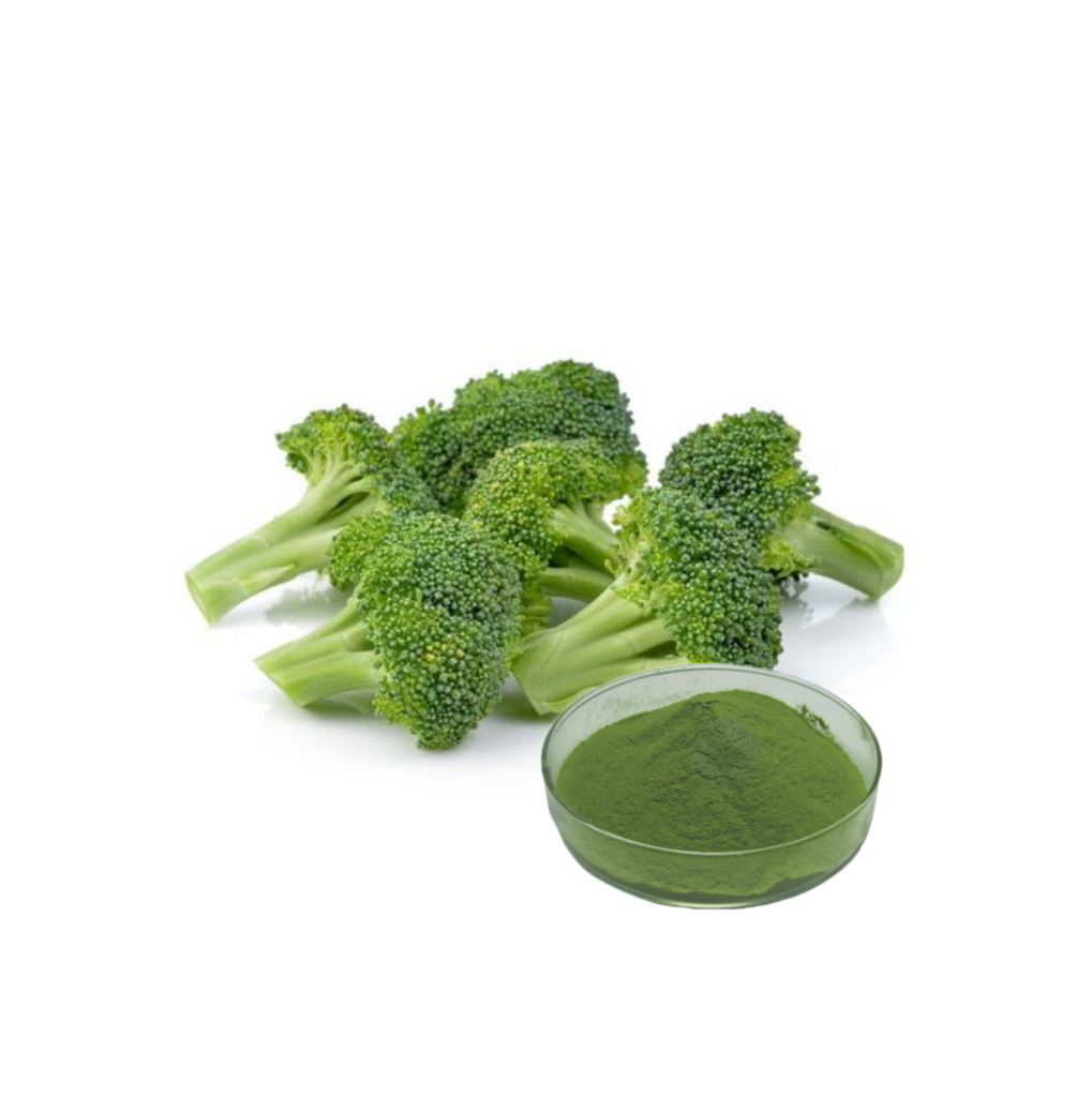 Freeze dried vegetable|Freeze dried broccoli | hailianfood